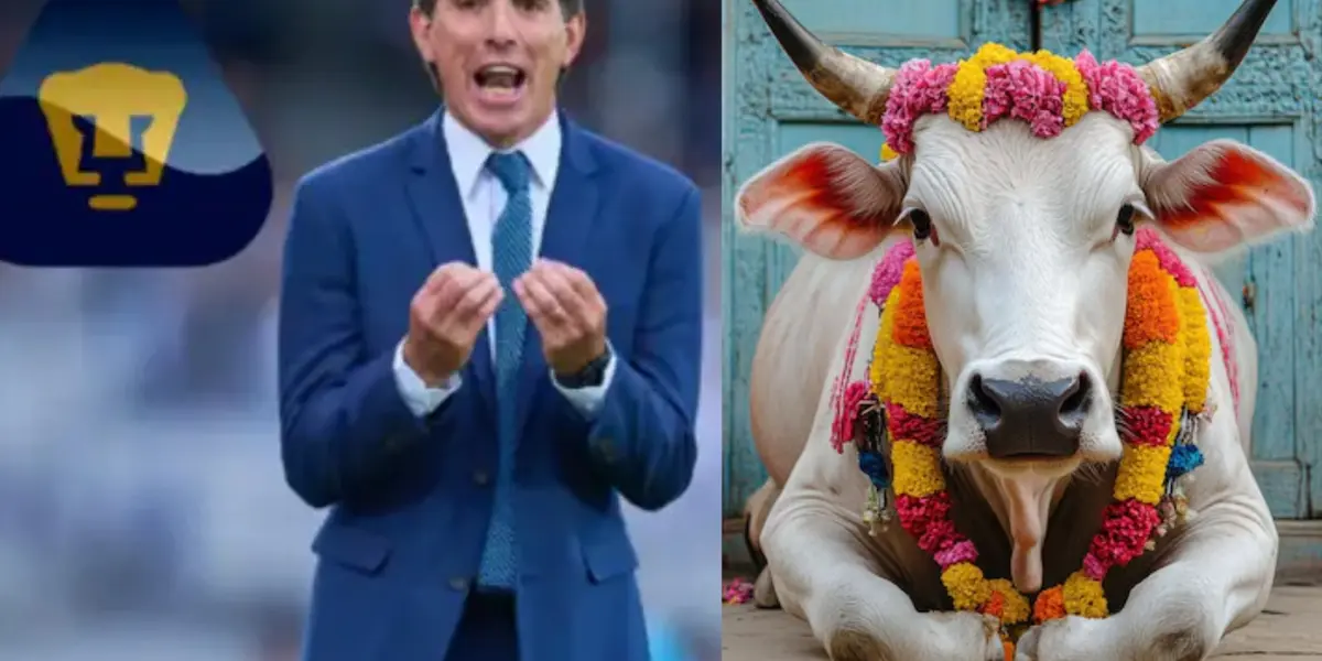 Quiere poner el dinero, traer a Guillermo Almada y sacar a la máxima ...